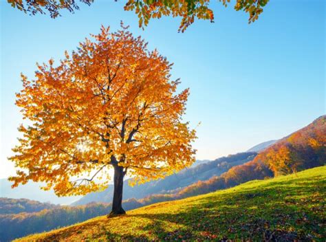 Куди поїхати восени найкращі місця в Карпатах 2023 — Pmg Ua