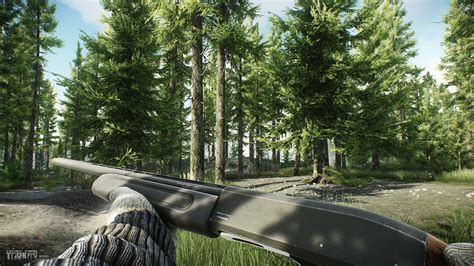 Wallpaper Forest Video Games Garden Grass Escape From Tarkov War