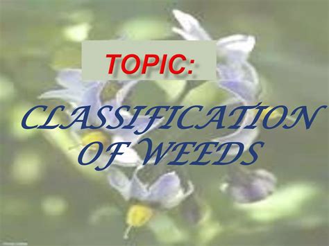 Classification Of Weeds Ppt