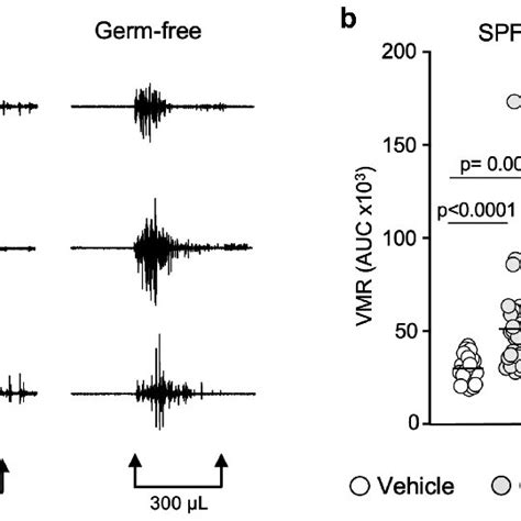 Capsaicin And Gpcr Agonists Induce Visceral Hypersensitivity In Spf