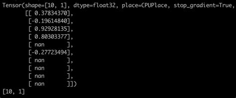 模型训练，adam Op的输入grad出现nan、inf。 · Issue 37587 · Paddlepaddlepaddle · Github