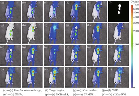 Comparison Between Our Method And The Other Methods Download Scientific Diagram