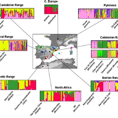 bayesian model based clustering of taxus baccata individuals from the