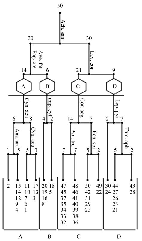 Two Way Indicator Species Analysis Twinspan Dendrogram Of The 50 Download Scientific Diagram