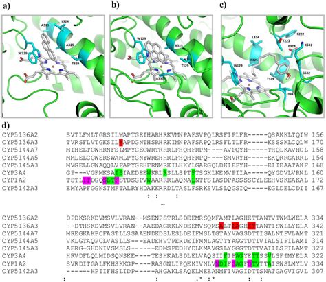 Putative Binding Modes Of The Xenobiotic Substrates Obtained From
