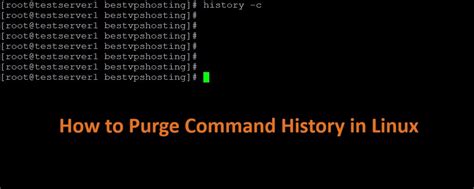 Clear Terminal History In Linux Best Vps Hosting Blog1