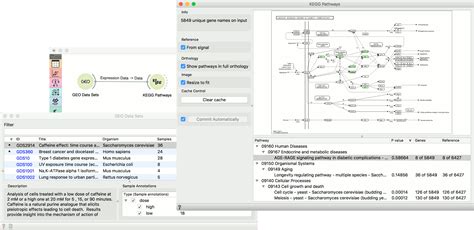 scorange kegg pathways single cell analysis