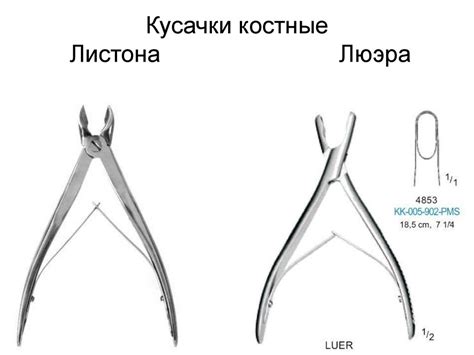 Операции на суставах нижних конечностей. Пункции и артротомии ...