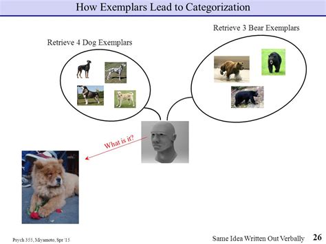 Introduction To Categorization Theory Goldstein Ch 9 Knowledge Ppt