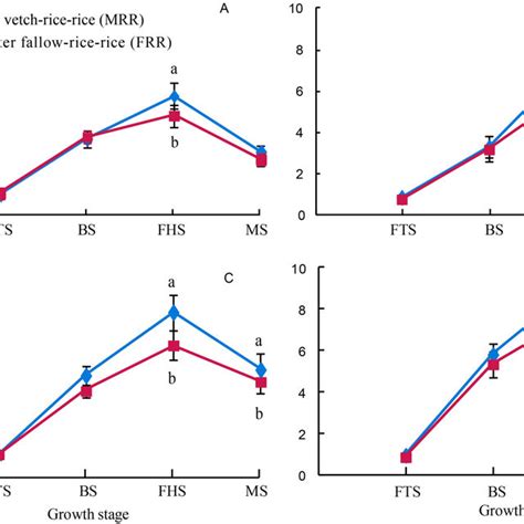 Dynamics Of Rice Leaf Area Index Download Scientific Diagram