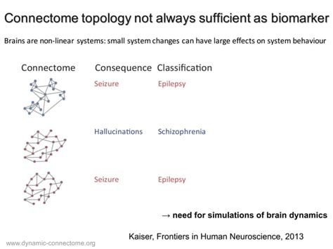 A Tutorial In Connectome Analysis 0 Marcus Kaiser Pdf Brain And