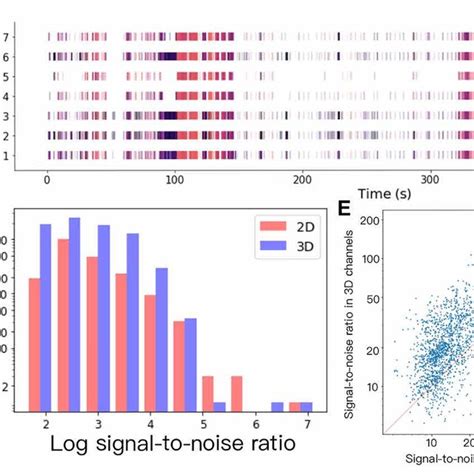 Brain Organoid Model A Eight Week Brain Organoid Stained With Download Scientific Diagram