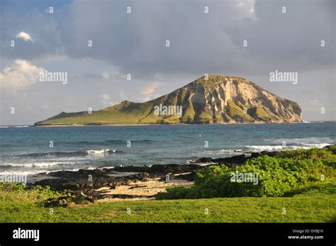 Manana Or Rabbit Island In Front Of Makapuu Beach Windward Oahu