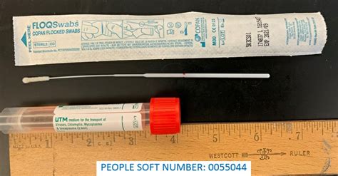 Bordetella Pertussis PCR Dartmouth Health Laboratory Test Catalog