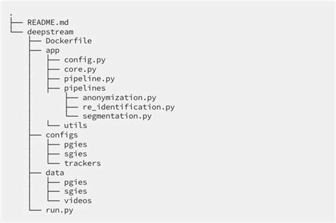 deepstream 6 0 python boilerplate ai based multi sensor processing