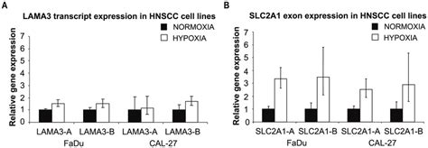 lama3 in hnscc cell lines relative gene expression of a lama3 and