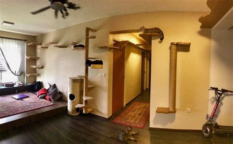 Catification Projects — The Cat People Sg Catification Cat Wall