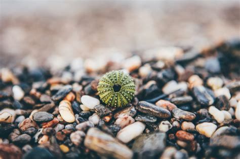 The Bubble Sort Algorithm A Dive Into Sorting With C By Tj Lopez