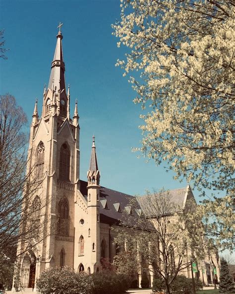 Weldon Kimutai Architect Bim Project Manager Weldonkym