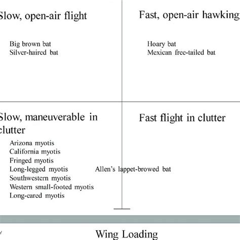 The Relationship Of Wing Loading To Aspect Ratio Correlates To The Download Scientific Diagram