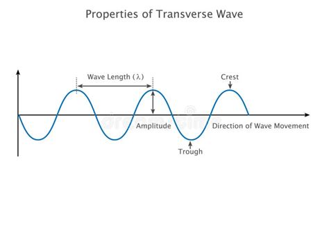 Properties Of Transverse Wave This Waves Oscillate Perpendicular To Wave Direction Stock Vector