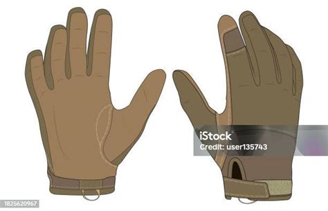 전투 장갑 벡터 템플릿 벨크로 손목 조정 기술 벡터 앞면과 뒷면 스포츠 글러브에 대한 스톡 벡터 아트 및 기타 이미지 스포츠