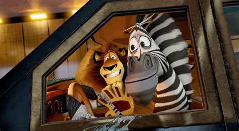 Madagascar Alex And Marty Madagascar Alex And Marty