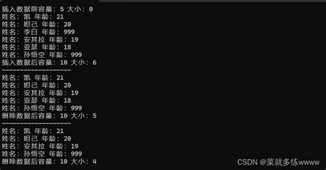 数据结构 动态数组 Csdn博客
