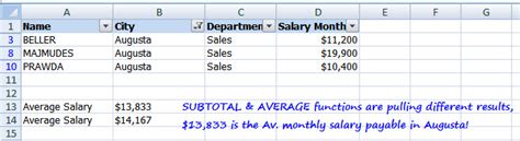 Microsoft Excel Tips MS Excel Subtotal Function And Filter