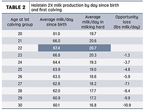 How Does Age At First Calving Affect The Bottom Line Ag Proud