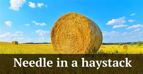 needle in a haystack
