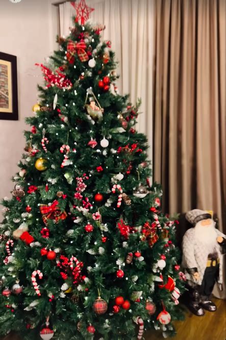 საახალწლო განწყობა ცნობილების სახლებიდან ფოტოები მშობლები