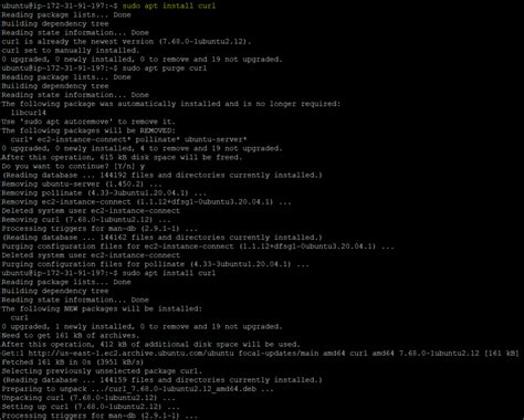 Curl Linux Command Learning By Example