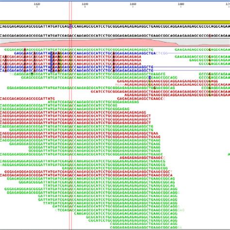Screenshot Of CLC Genomics Workbench Software Showing SNP Detection Download Scientific Diagram