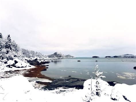 Pascal Beauchesne On Linkedin “in The Midst Of Winter I Found There Was Within Me An Invincible