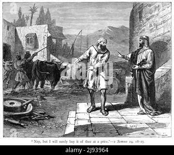 Middle East History Harvesting And Threshing Floor Scenes