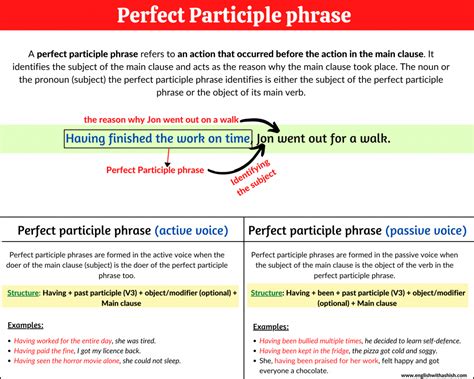 Perfect Passive Participle Latin Examples Design Talk