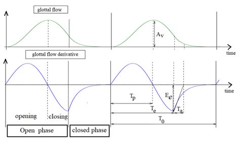 example of a glottal pulse and its derivative download scientific