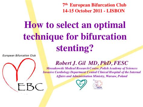 How To Select An Optimal Technique For Bifurcation Stenting European