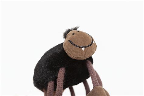 Jellycat Dingly Dangly Sid Spider Ms Rudolphs