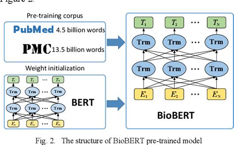 Figure 2 From Biomedical Entity Linking Based On Global And Local