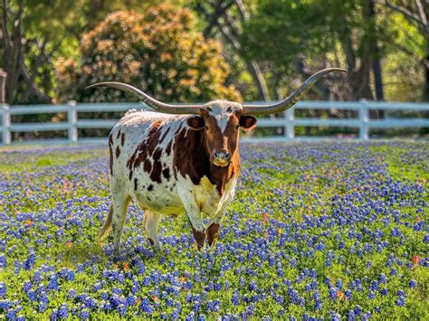 Texas Absolutely Beautiful Photo From David James Chalker Facebook