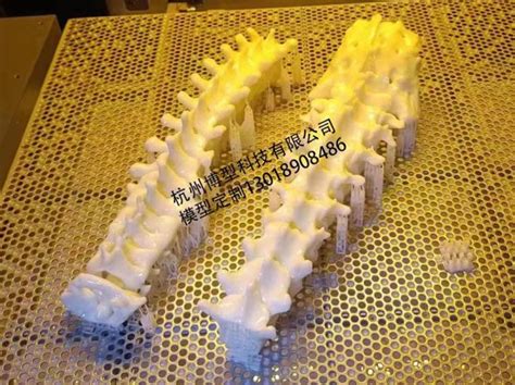 骨骼ct重建and3d打印骨骼 杭州博型科技有限公司