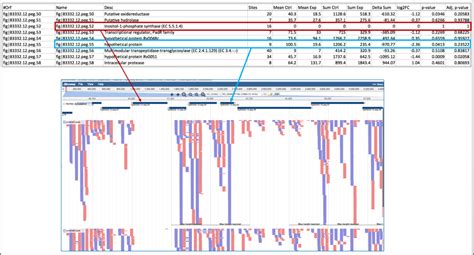 Tn Seq Analysis Service BV BRC