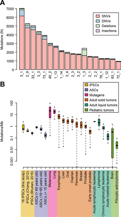 Frequency Of Somatic Mutations In Ipscs A Number Of Somatic Mutations