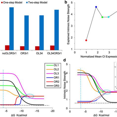 Intrinsic Noise Sources Hierarchy And Their Functional Roles A