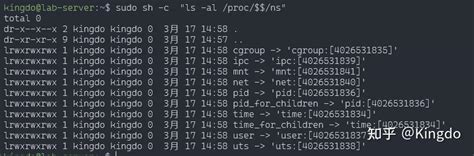 linux手册翻译 setns 2 知乎