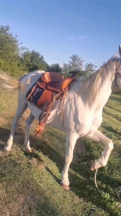 🐎🐎🐎Подготовките за овогодинешниот Марш Патот на Илинденците се во тек со Бога напред оваа година