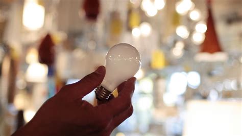 Incandescent Light Bulb