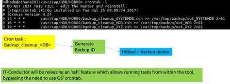 Sap Basis Automation Of Hana Backup And Cleanup